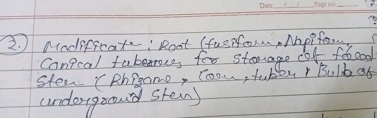 Modification: Root (fusiform, napiform, conical, tuberous for storage of
