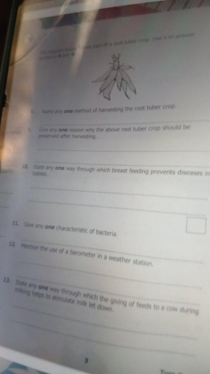 The diagram below shows part of a root tuber crop. Use it to answer quest..