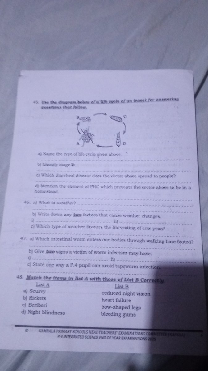 Use the diagram below of a life cycle of an insect for answering question..