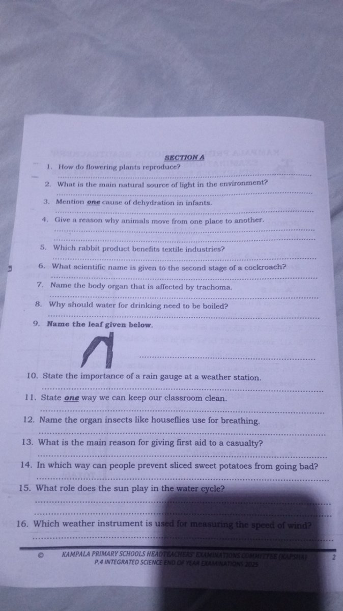 SECTION A How do flowering plants reproduce? What is the main natural so..