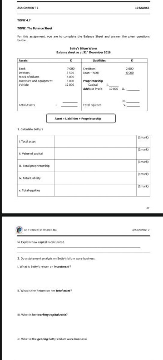 ASSIGNMENT 2 TOPIC 4.7: The Balance Sheet For this assignment, you are t..