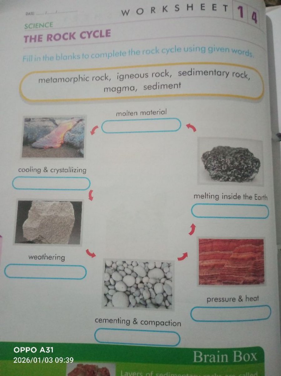 Fill in the blanks to complete the rock cycle using given words: Words t..