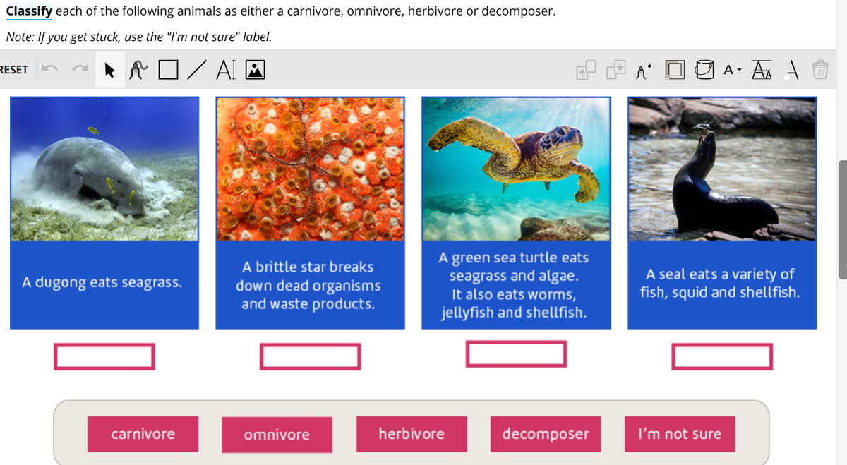 Classify each of the following animals as either a carnivore, omnivore, h..