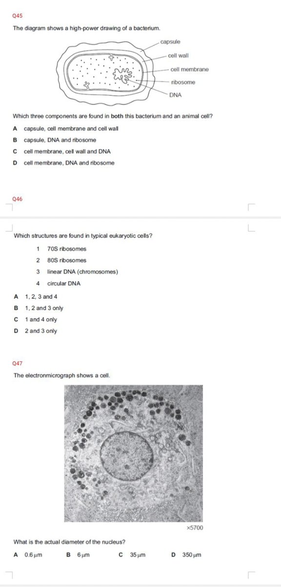 Q45 The diagram shows a high-power drawing of a bacterium. Which three c..