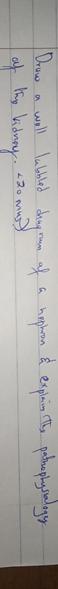 Draw a well-labeled diagram of a nephron and explain the pathophysiology
