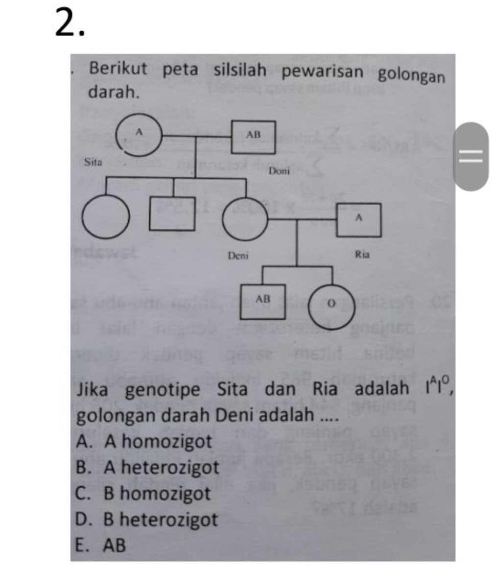 Berikut peta silsilah pewarisan golongan darah. Jika genotipe Sita dan R..