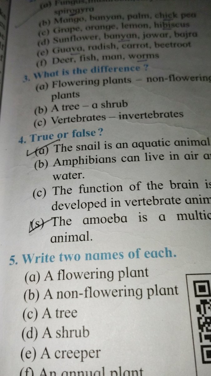 What is the difference? (a) Flowering plants - non-flowering plants (b) A..