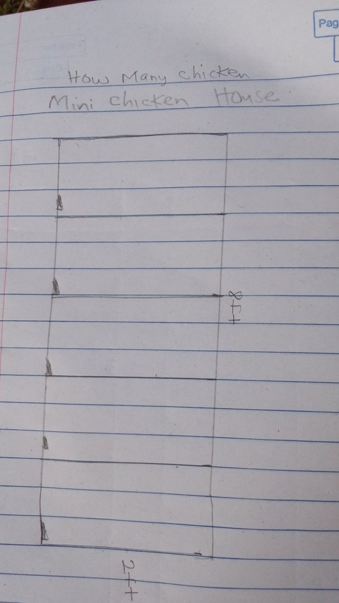 How Many chicken Mini chicken House [Diagram of a rectangle with dimensi..