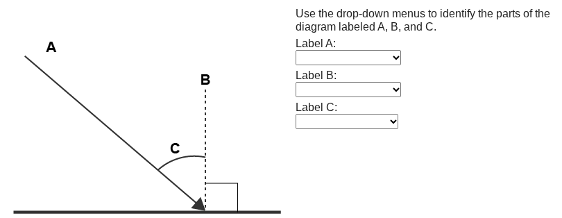 Use the drop-down menus to identify the parts of the diagram labeled A, B..