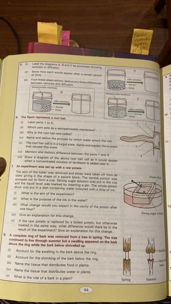 (i) Label the diagrams A, B and C as processes showing osmosis or diffusi..