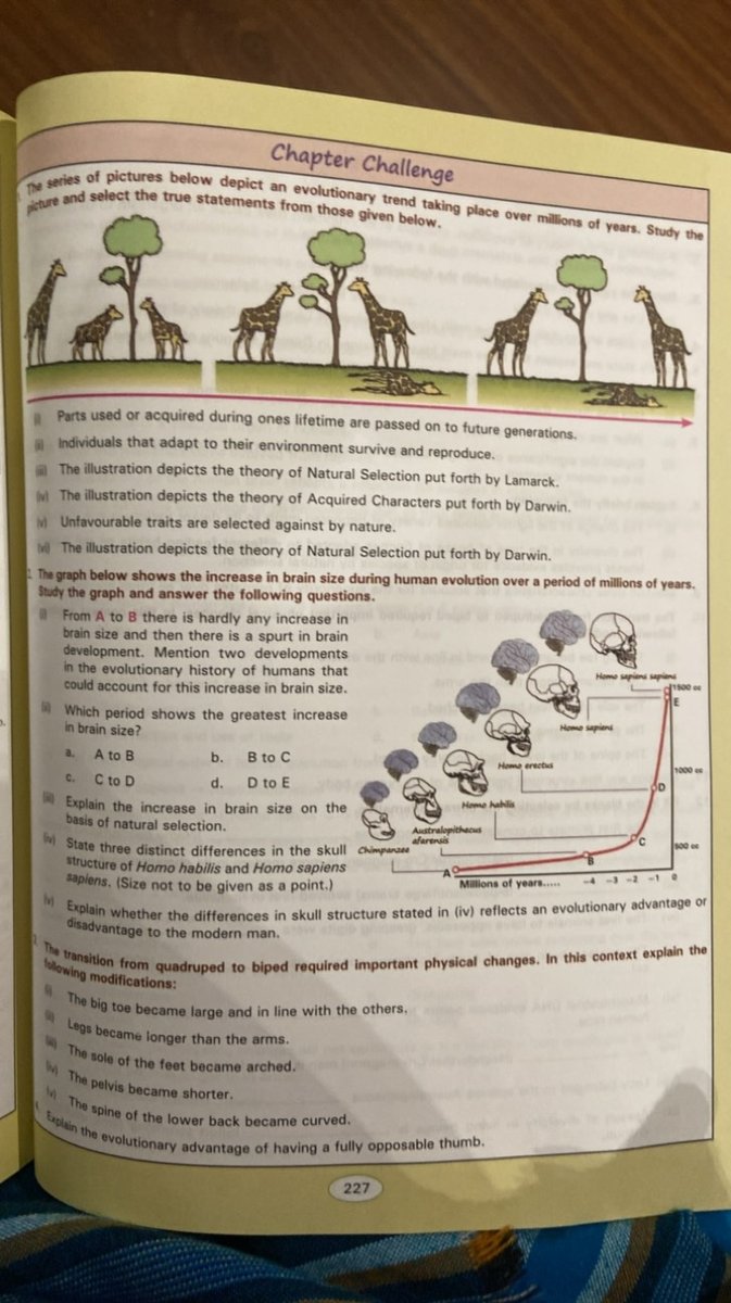 The series of pictures below depict an evolutionary trend taking place ov..