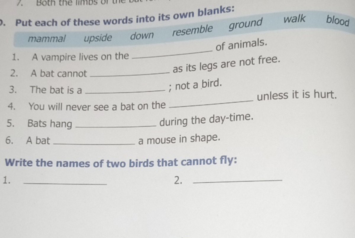 Put each of these words into its own blanks: mammal, upside, down, resemb..