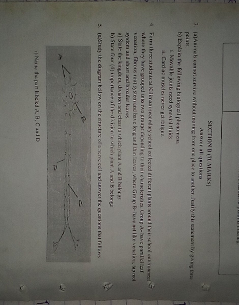 SECTION B (70 MARKS) Answer all questions (a) Animals cannot survive wit..