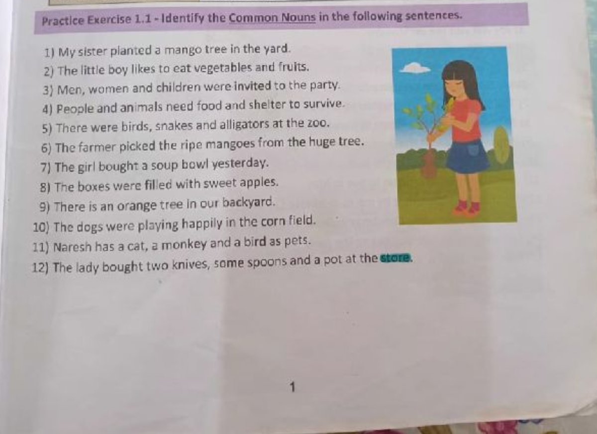 Practice Exercise 1.1 - Identify the Common Nouns in the following senten..