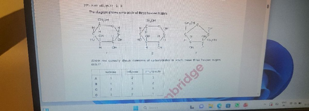 The diagram shows a molecule of three hexose sugars. Image displays thre..