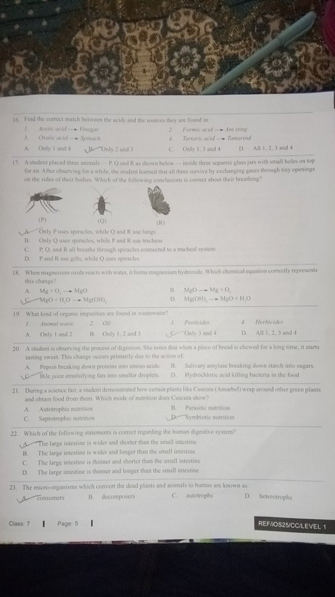 Find the correct match between the acids and the sources they are found i..