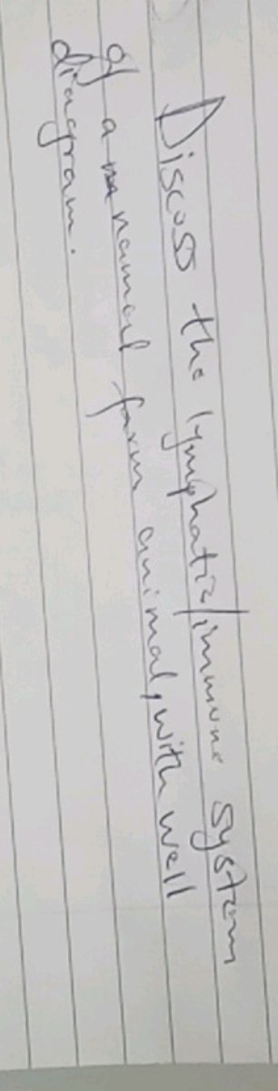 Discuss the lymphatic/immune system of a mammal (farm animal), with a wel..
