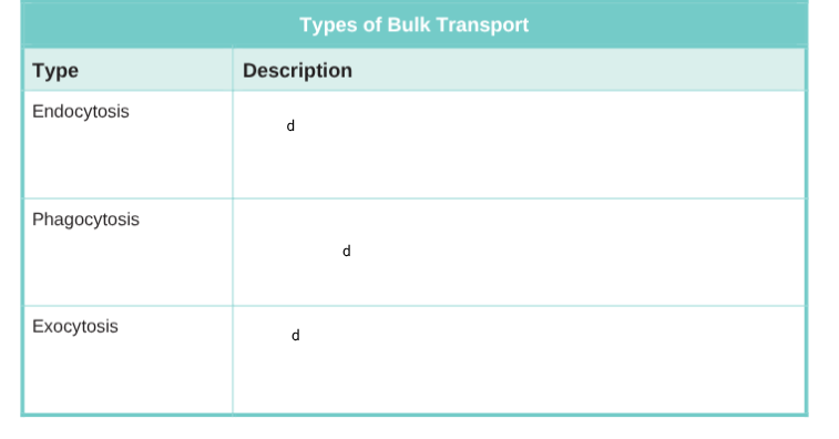 The image shows a table titled "Types of Bulk Transport" with two columns..