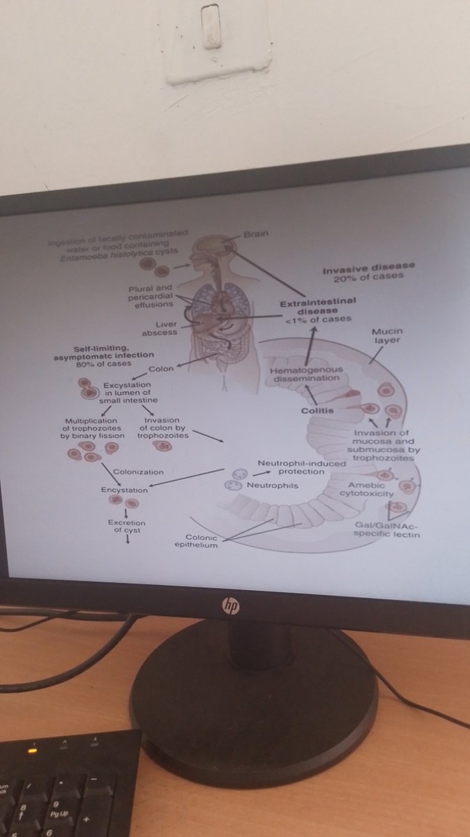 The provided image displays a diagram illustrating the life cycle and pat..