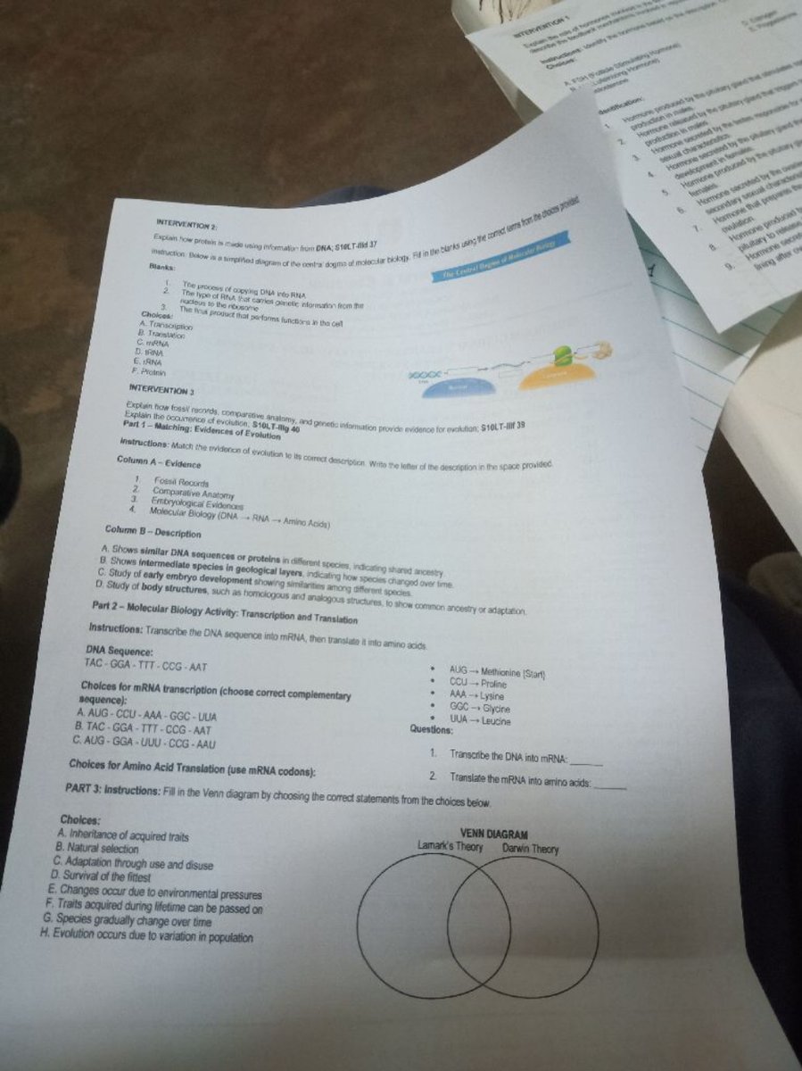INTERVENTION 2 Explain how protein is made using information from DNA: S1..