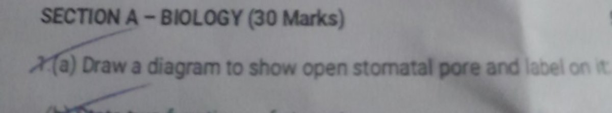 SECTION A - BIOLOGY (30 Marks) (a) Draw a diagram to show open stomatal p..