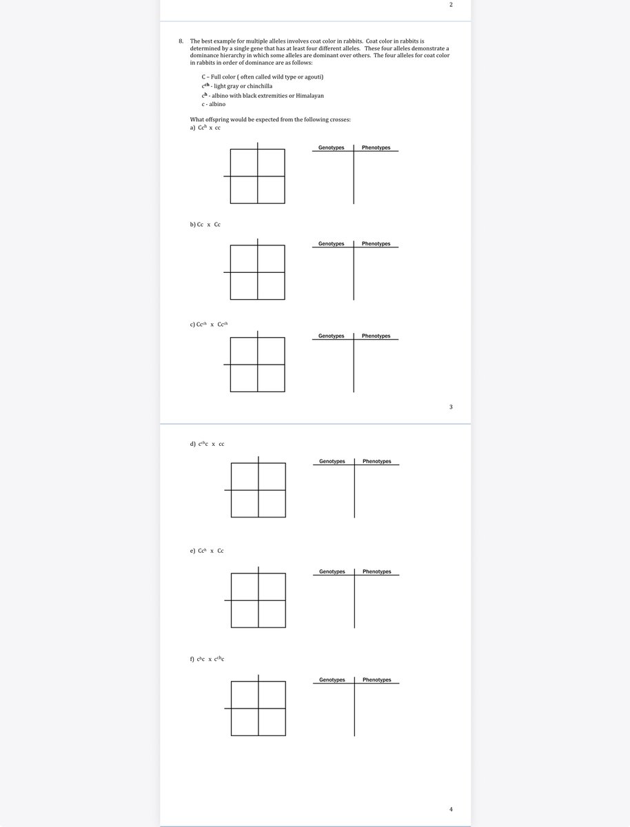 The best example for multiple alleles involves coat color in rabbits. Coa..