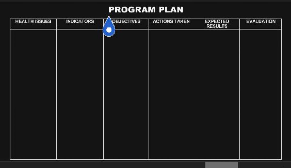The image shows a blank table titled "PROGRAM PLAN" with the following co..