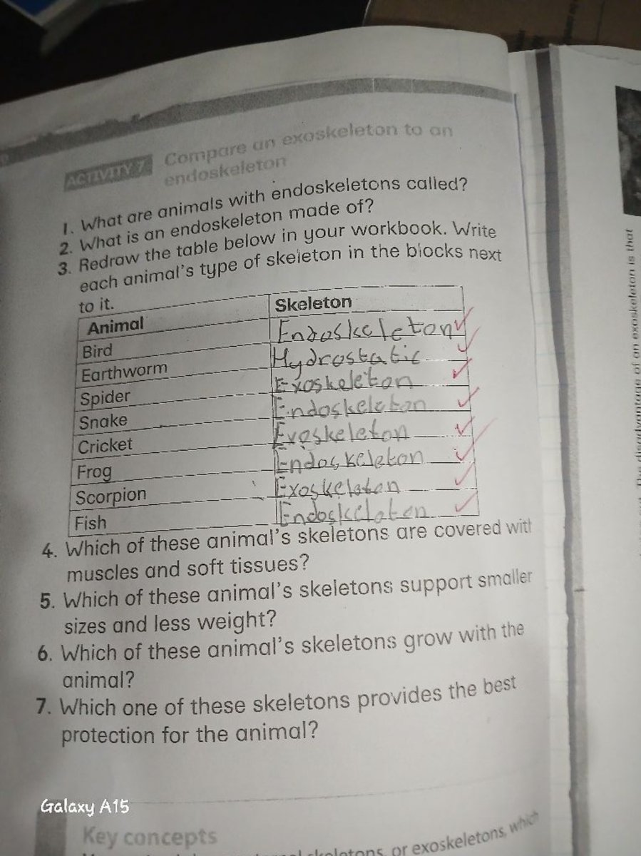 ACTIVITY 7 Compare an exoskeleton to an endoskeleton What are animals wi..