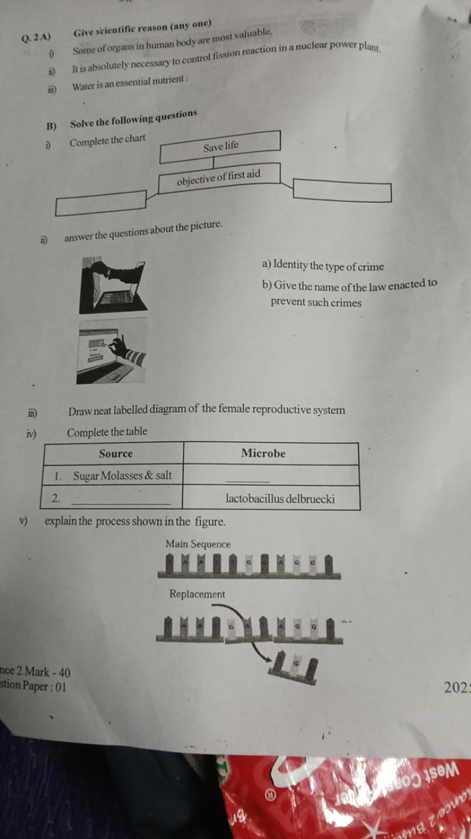 Q. 2A) Give scientific reason (any one) i) Some of organs in human body a..