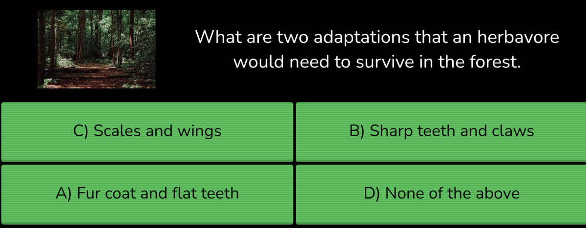 What are two adaptations that an herbivore would need to survive in the f..