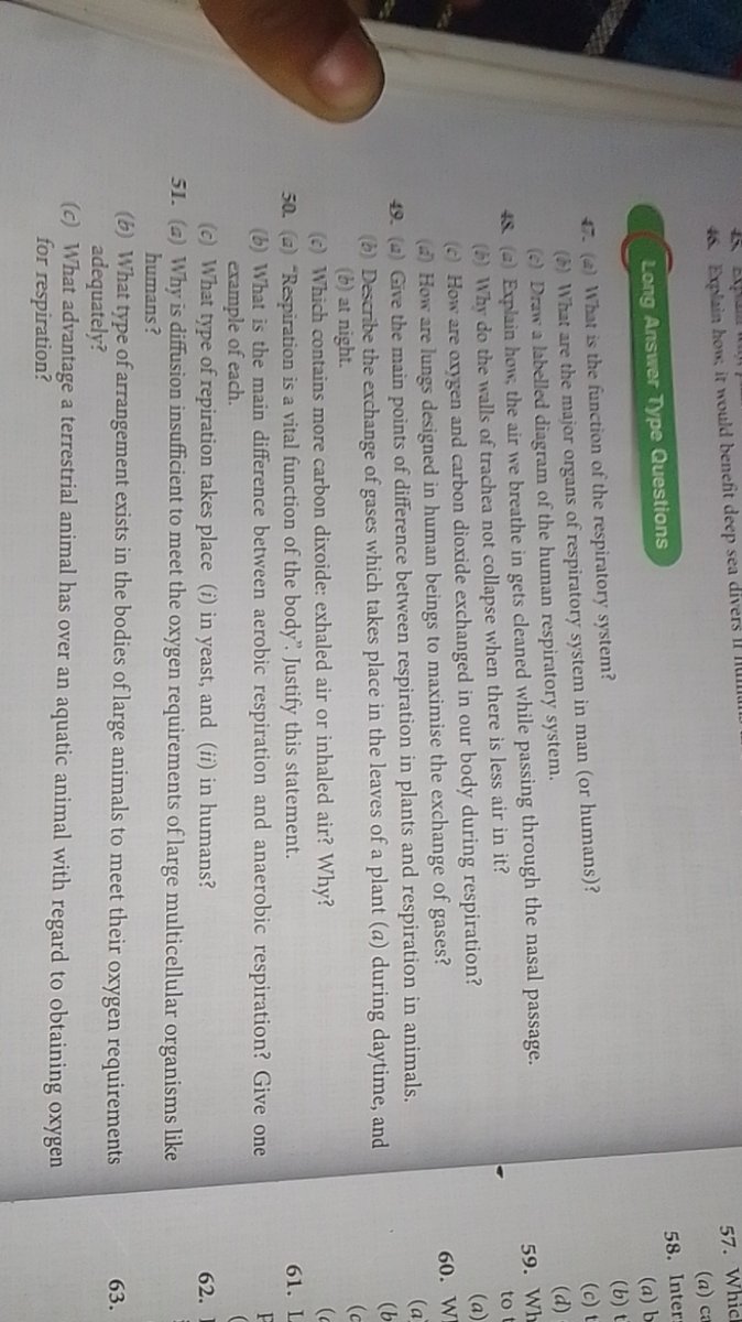 Here are some long answer type questions: 47. (a) What is the function o..