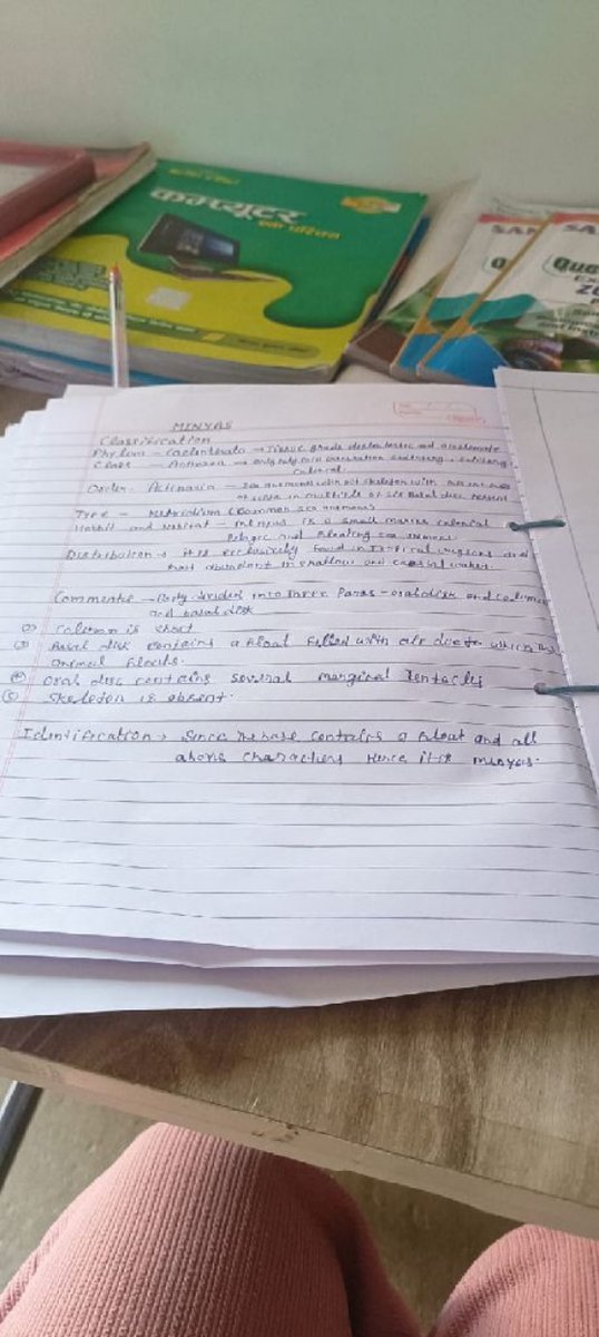 MINYAS Classification Phylum: Coelenterata → Tissue grade, diploblastic..