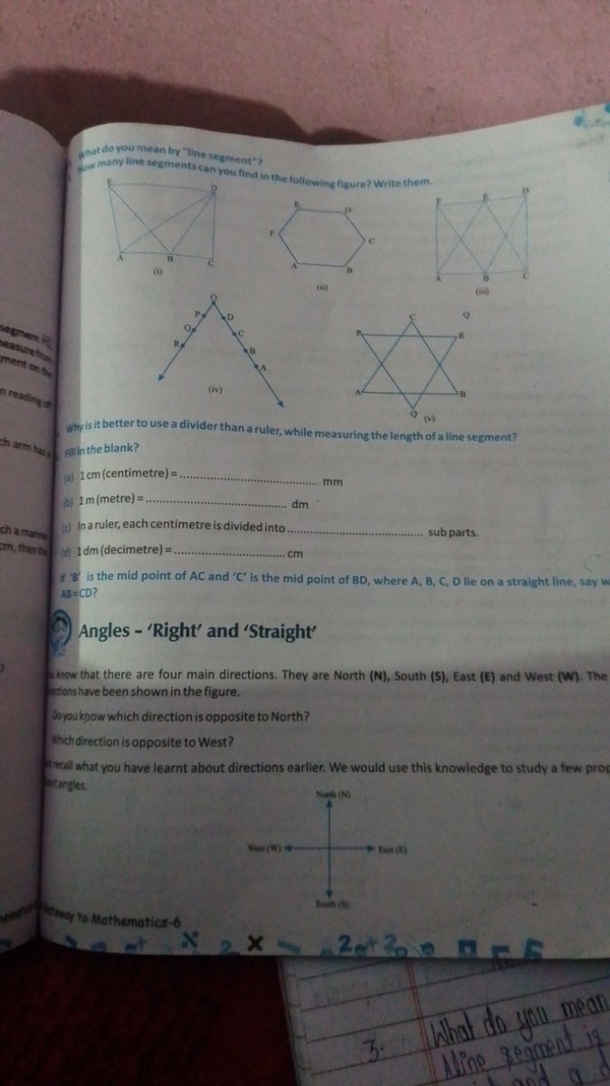 What do you mean by "line segment"? How many line segments can you find i..