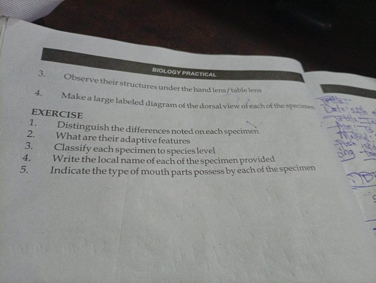 BIOLOGY PRACTICAL Observe their structures under the hand lens/table len..