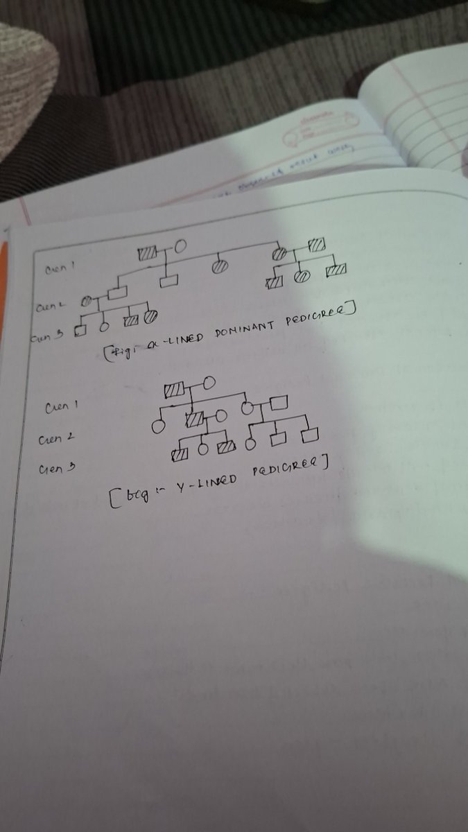 The image shows two pedigree charts. The first one is labeled as "X-linke..