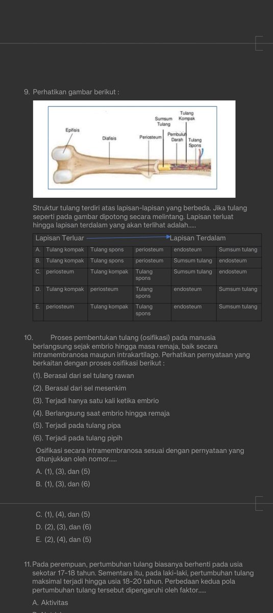 Proses pembentukan tulang (osifikasi) pada manusia berlangsung sejak embr..