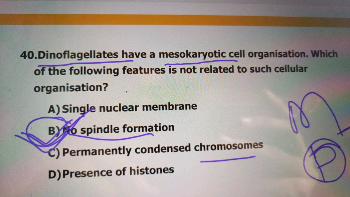 Dinoflagellates have a mesokaryotic cell organisation. Which of the follo..