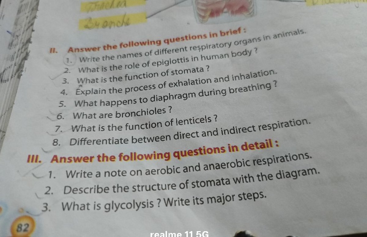 II. Answer the following questions in brief: Write the names of different..