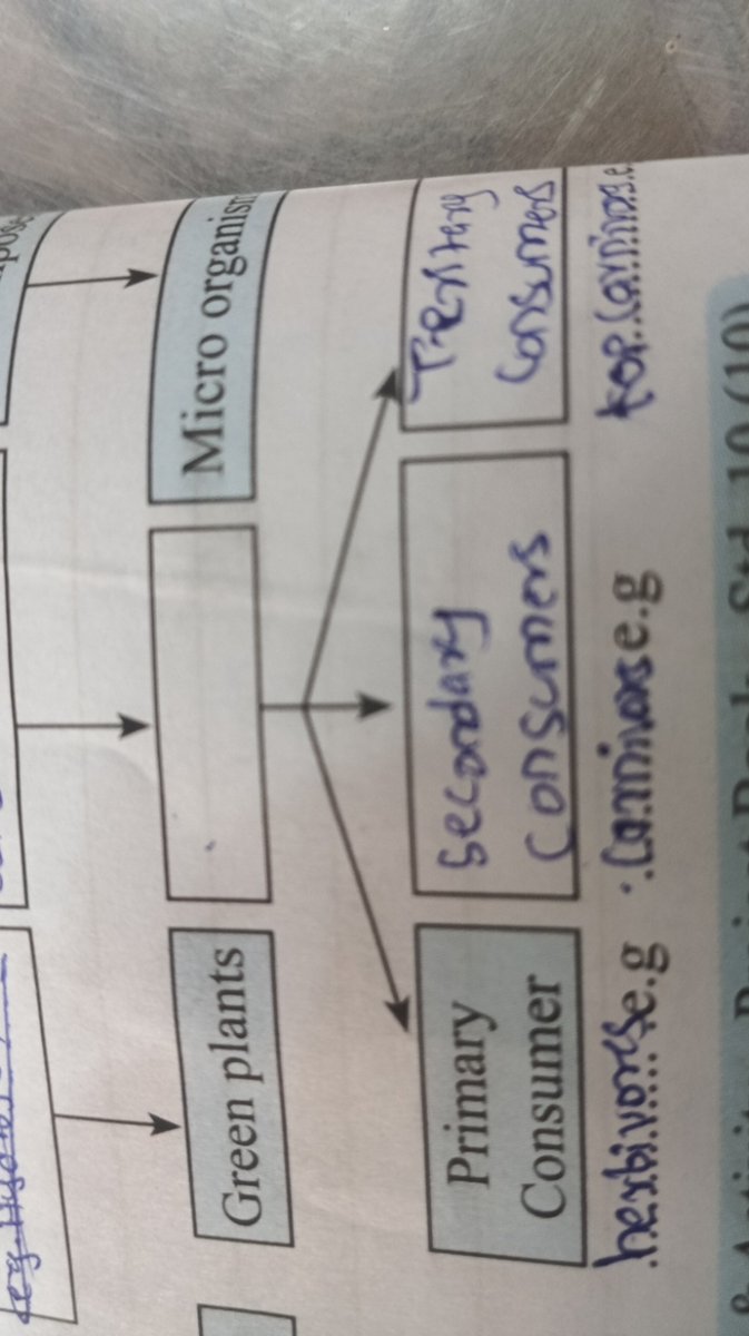 The image shows a partially completed diagram related to an ecosystem or