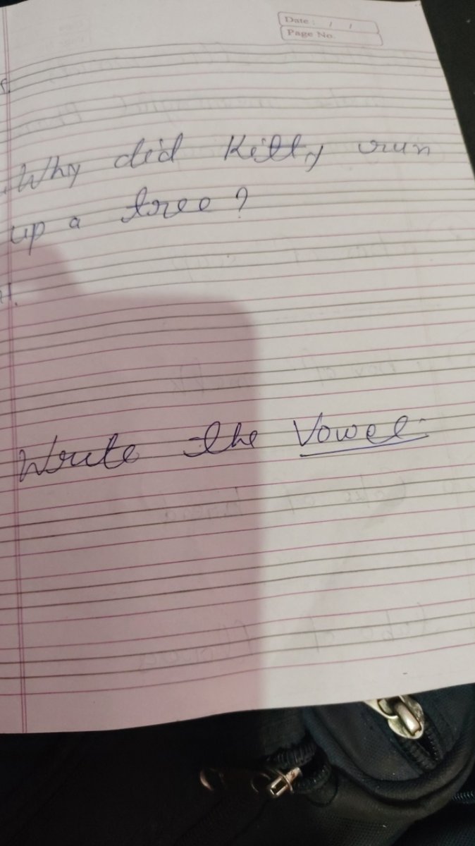 Why did Kitty run up a tree? Write the Vowel | Filo