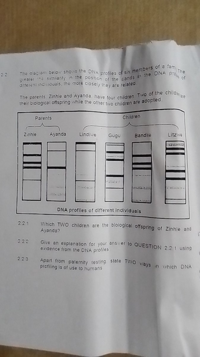 The diagram below shows the DNA profiles of six members of a family. The
