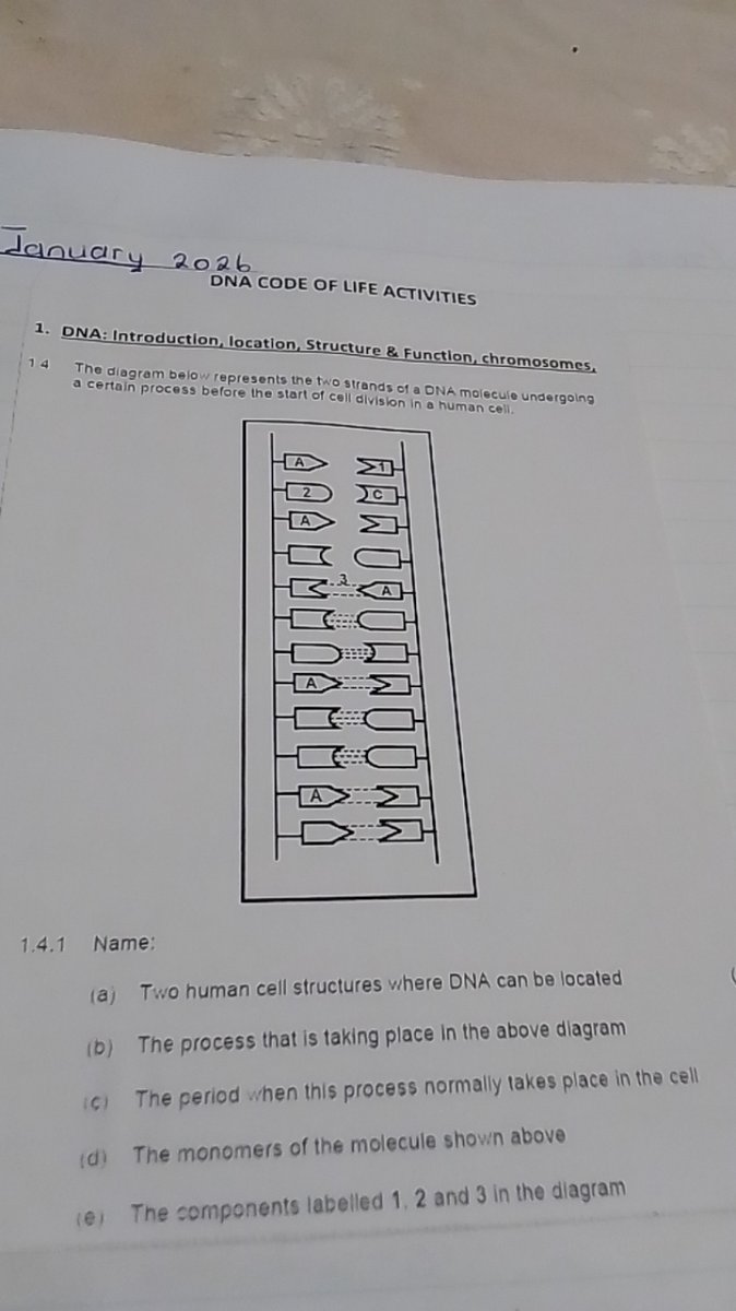 January 2026 DNA CODE OF LIFE ACTIVITIES DNA: Introduction, location, St..