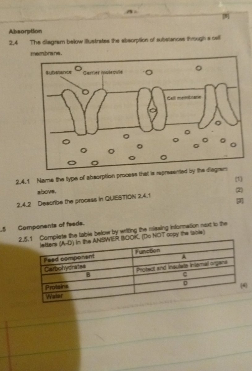Absorption 2.4 The diagram below illustrates the absorption of substance..