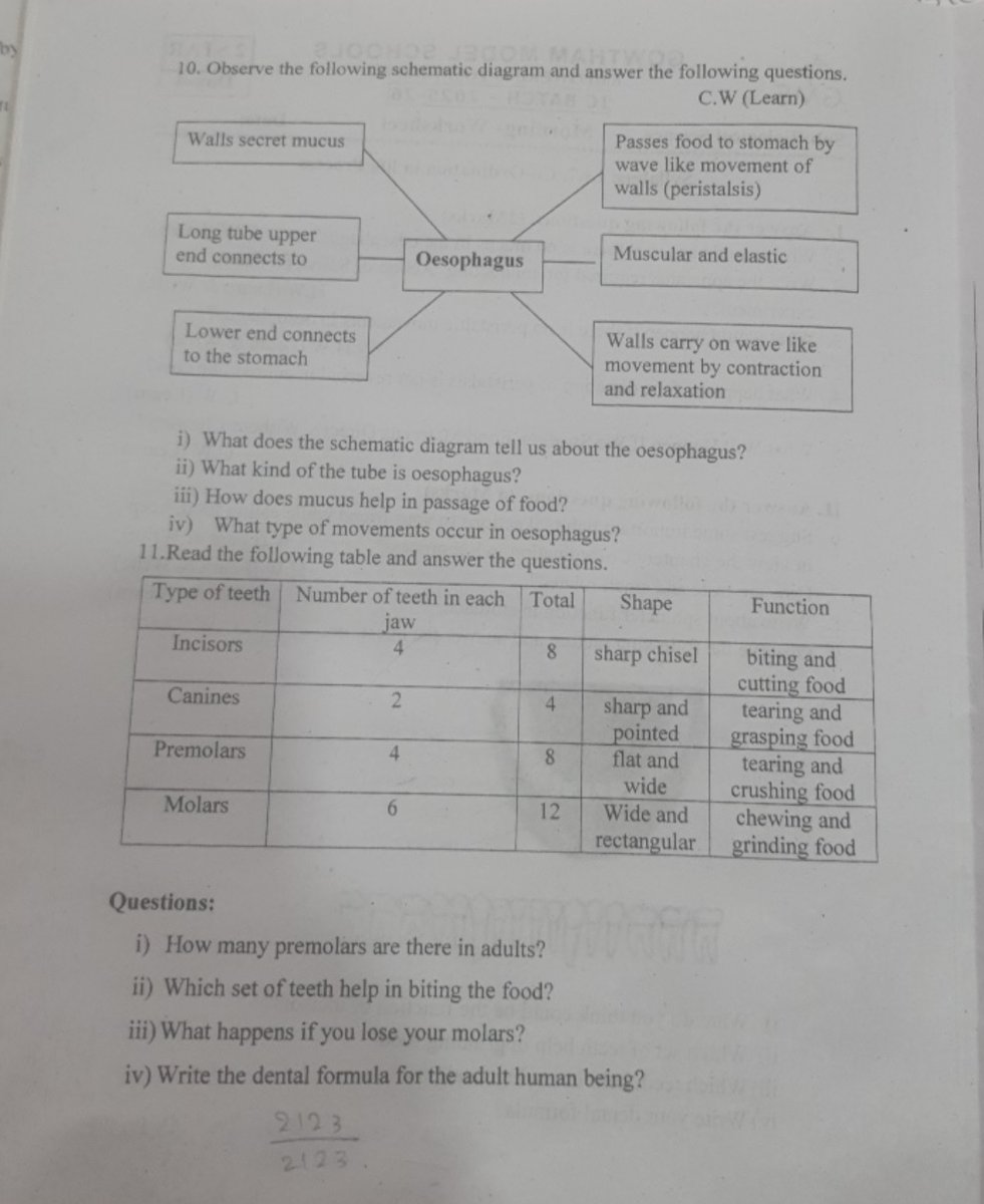 Observe the following schematic diagram and answer the following question..