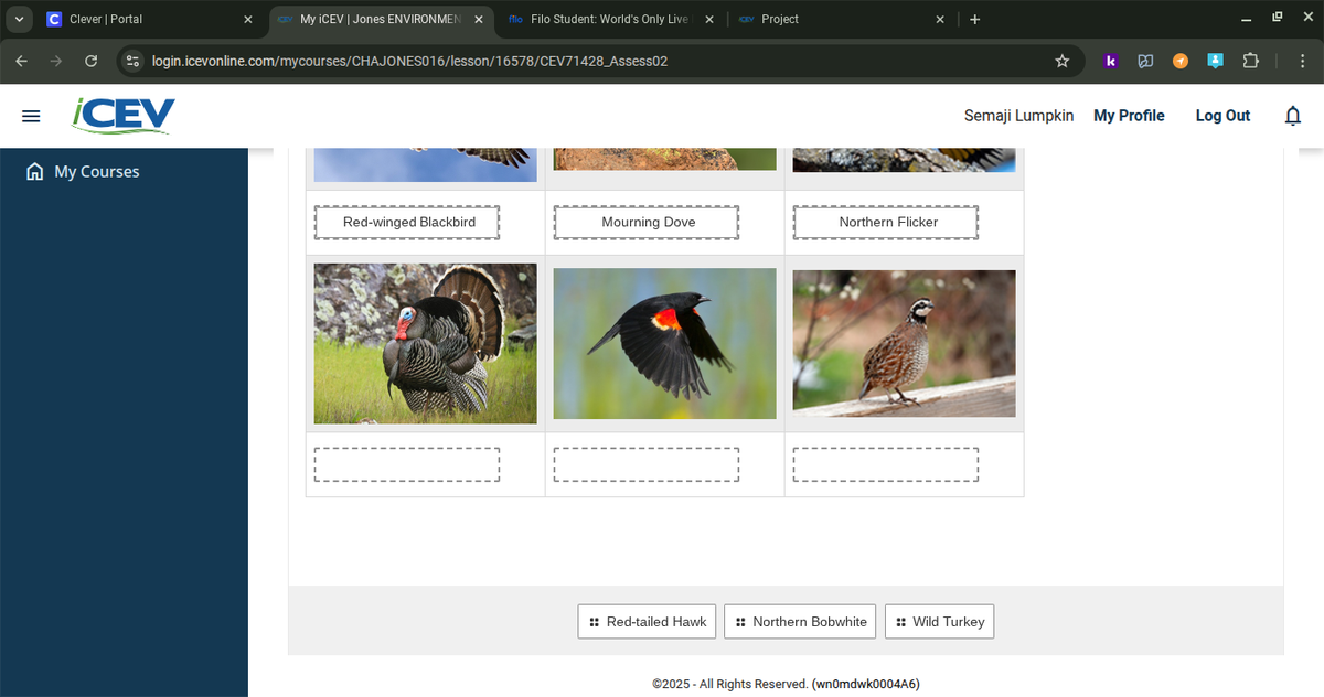 The image displays a drag-and-drop activity from an online learning platf..