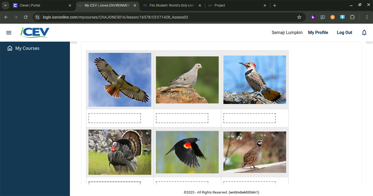 The user has provided an image of a web page displaying several bird imag..