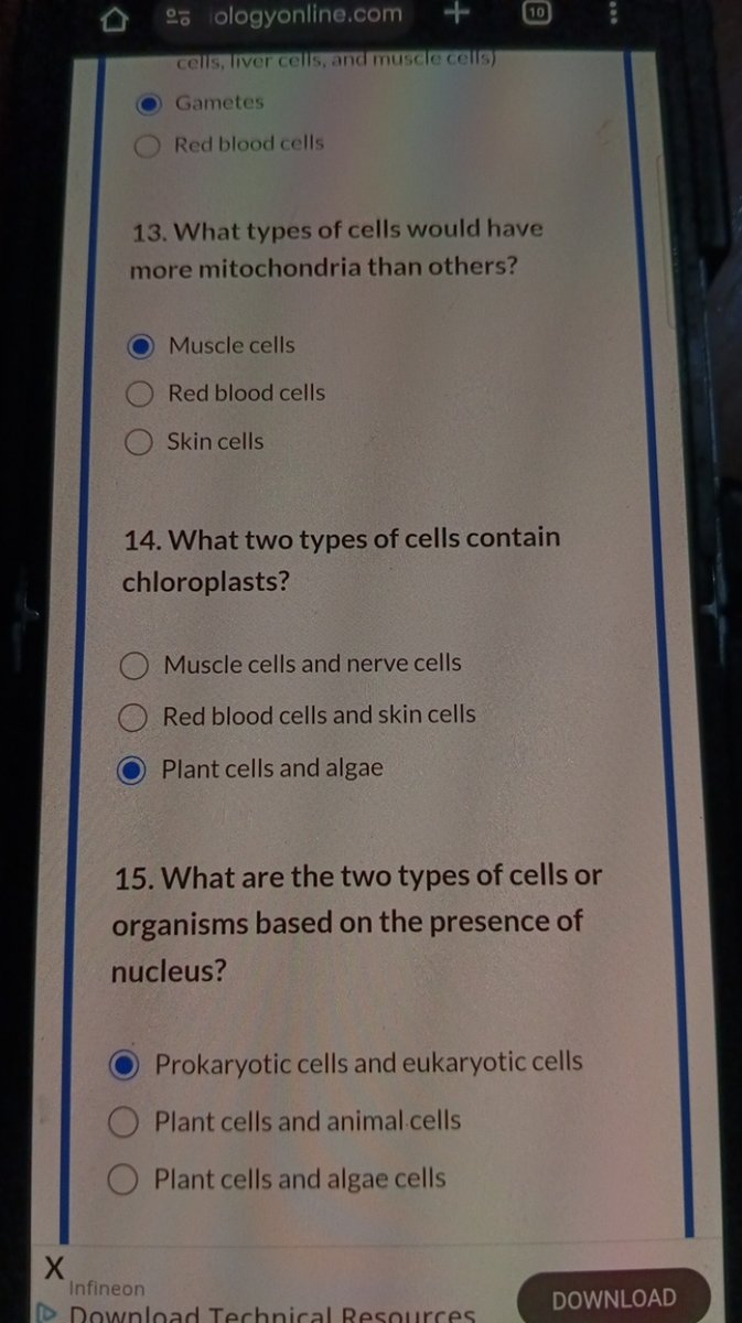 What types of cells would have more mitochondria than others? Muscle cel..