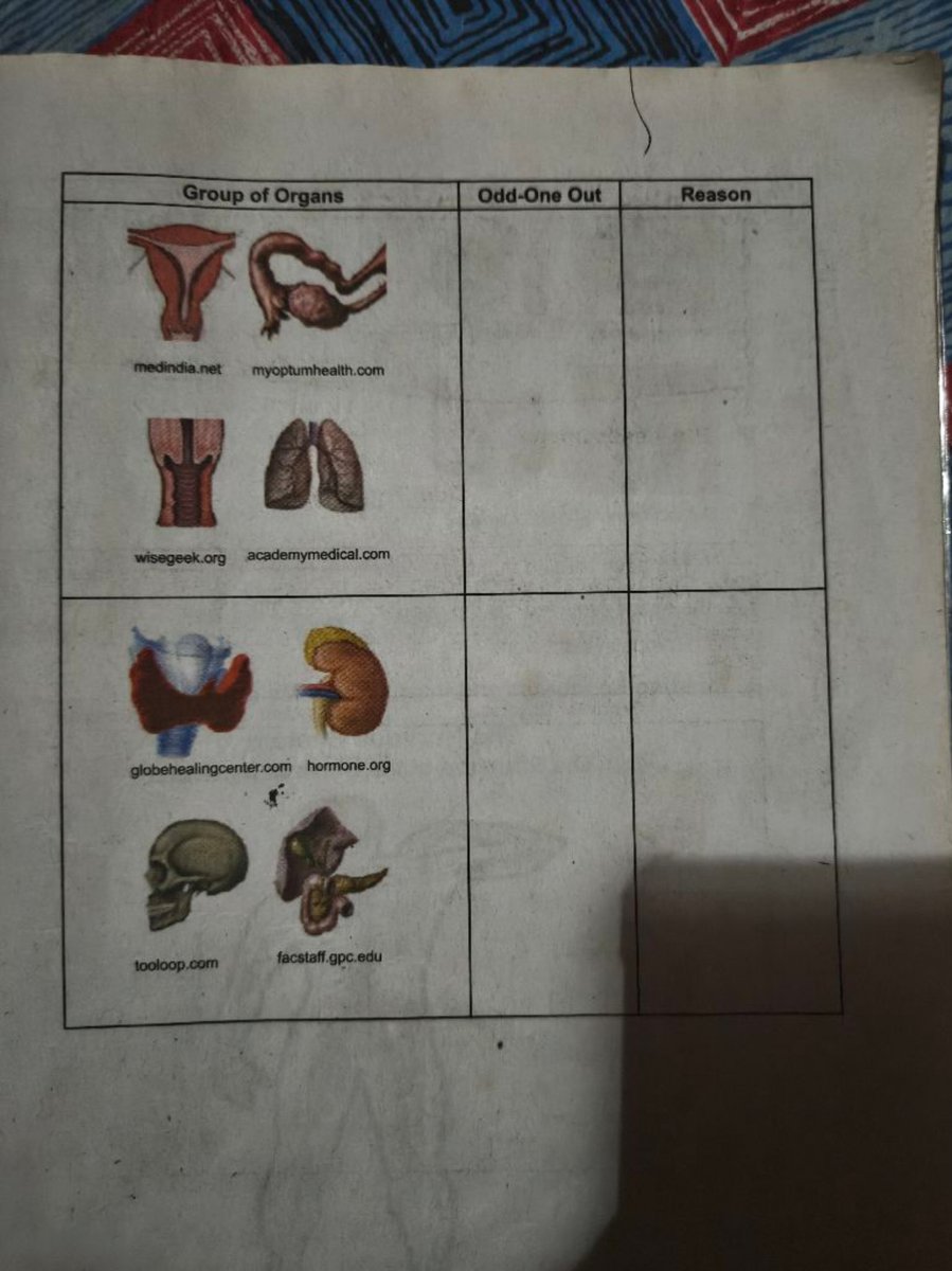 The image displays a table with three columns: "Group of Organs", "Odd-On..