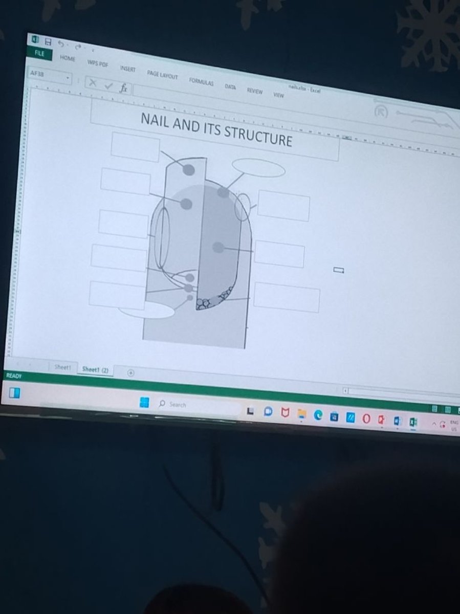 The image displays a diagram titled "NAIL AND ITS STRUCTURE". There are s..