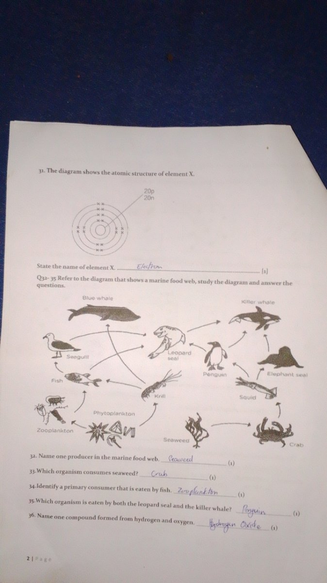 The diagram shows the atomic structure of element X. State the name of e..